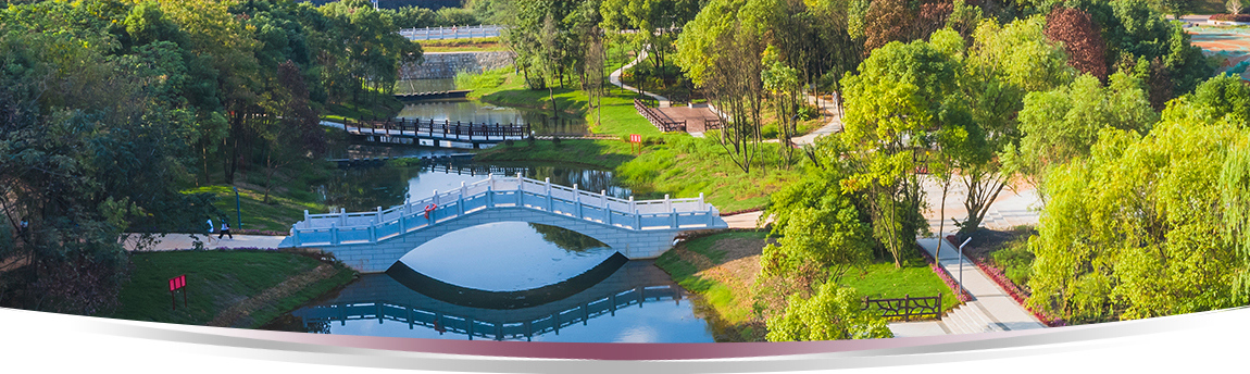 “麓山创新论坛”第58讲预告：Heuristic Algorithms for Task Scheduling with Device ...